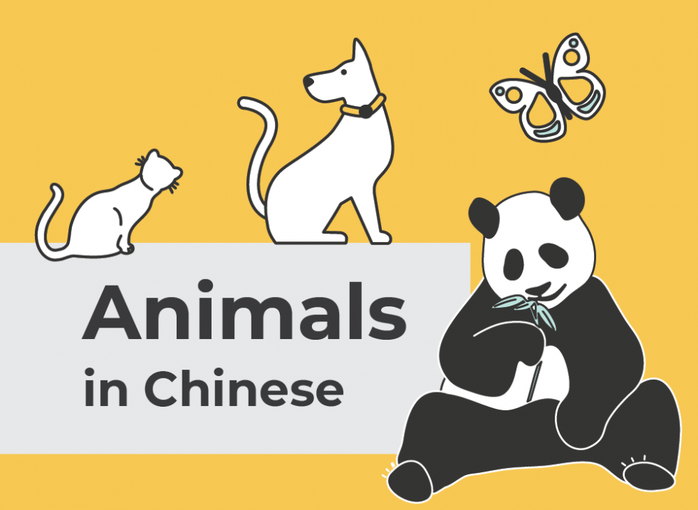 Chinese Vocabulary: Learn Animals in Mandarin | Nihaocafe