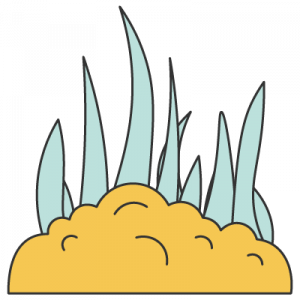 Chinese Vocabulary: Learn Plants in Mandarin | NihaoCafe