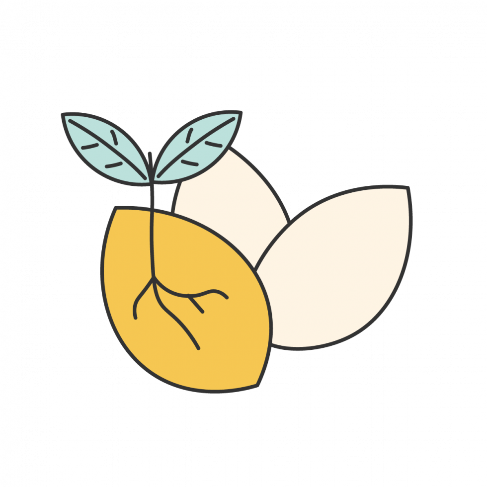 Chinese Vocabulary: Learn Plants in Mandarin | NihaoCafe